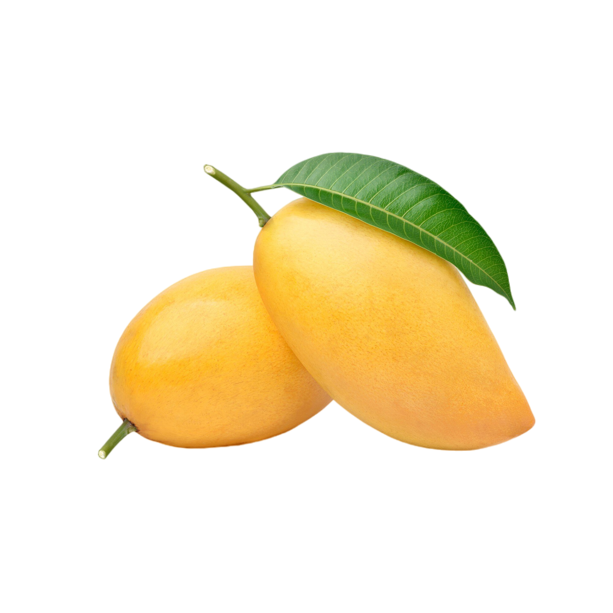 Fruits and vegetables - Ramapir Foods